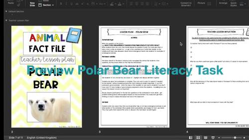 Reading Comprehension Polar Bears! by Miss Osmosis | TPT