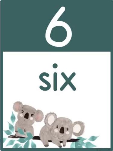 Koala Number Classroom or Bulletin Board Display - Number words 1-30