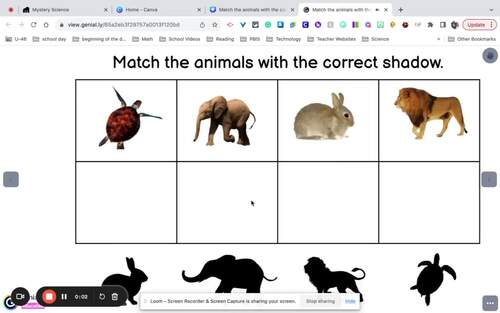 Digital Groundhog Day Activity Shadow Matching No Prep Science 1st-3rd ...