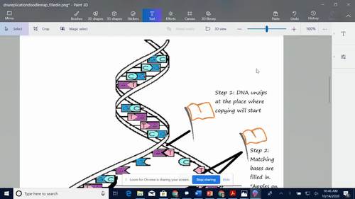 Doodle Map: DNA Replication by What's up Doc Biology | TPT
