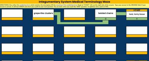 Integumentary System Medical Terminology Digital and Print Maze Activity