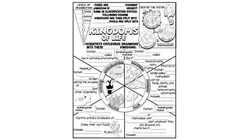 Kingdoms of Life Doodle Notes & Quiz + PP | NGSS Classification & Taxonomy