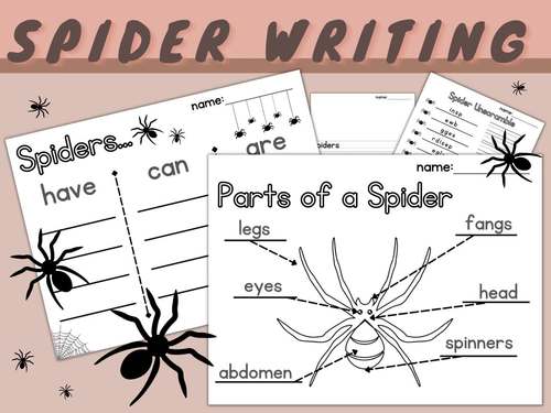 Spider Informative Writing | Have Can Are | Labeling | Life Cycle ...