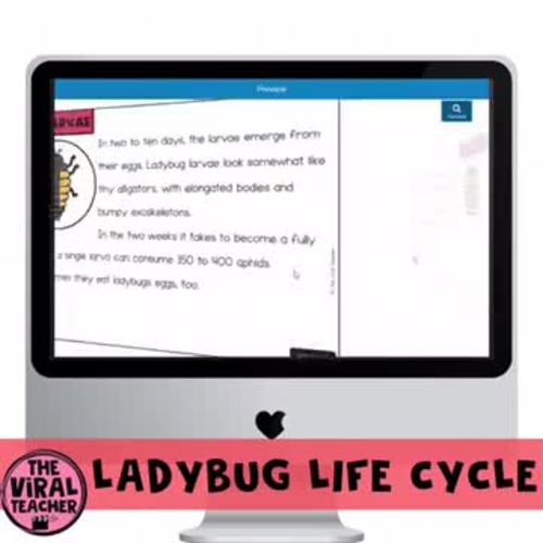 Ladybug Life Cycle and Anatomy Reading Comprehension Activities Boom™ Cards