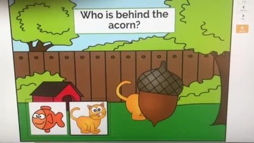 What animal is hiding? Wh Questions. Boom Cards. by Ali's Adapted Book ...