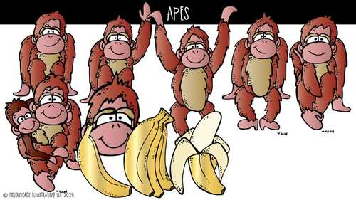 Apes clip art, Primate clip art, Orangutan clip art COLORED Version