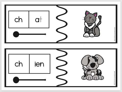 FRENCH Orthographic Mapping Puzzles Les animaux Casse-têtes orthographiques