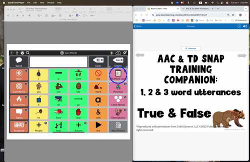 AAC & TD SNAP Vocabulary Practice: Descriptions- TRUE or FALSE Adjectives