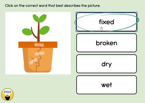 Adjectives and Opposites Multiple Choices for Speech Therapy Boom Cards