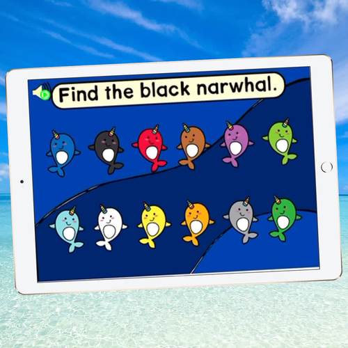 Find the BLACK Color Recognition | BOOM CARDS with audio | Beach