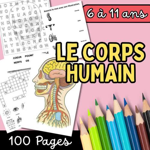 Corps humain et systèmes | Activités sciences | Human Body Systems French