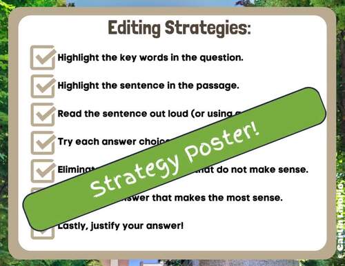 8th Grade EDITING Set #1 STAAR Practice integrated with Social Studies TEKS