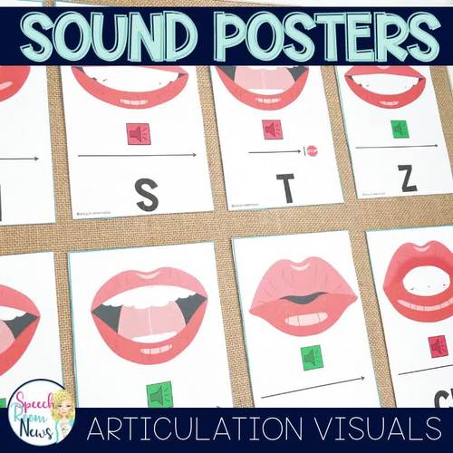 Speech Sound Posters: Articulation Posters by Jenna Rayburn Kirk