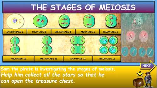 Cell Division and Reproduction: Big Bundle: 5 Google Slides Presentations