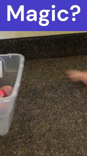 3D Pen STEM Coin Dispenser Vending Machine Template by 3D Pen STEM