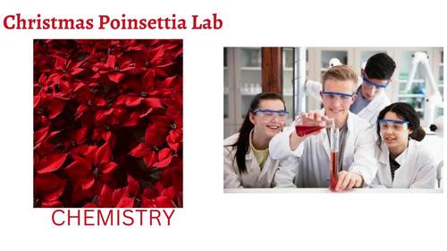 Christmas Poinsettia Lab High School Chemistry Ph activity by The ...