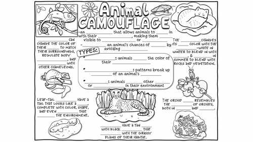 Animal Camouflage Doodle Notes & Quizzes (PDF & GF) | Adaptations ...