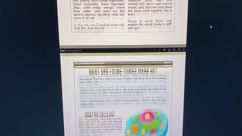 Life Science Worksheets | Cells, Organelles, Plant Animal, Vocabulary ...