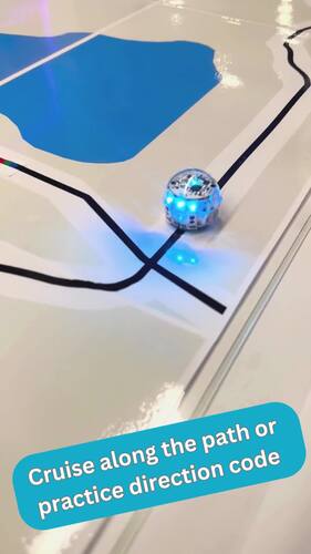 Ozobot NYC Central Park Winter Challenge by Tech & Tinker Studio