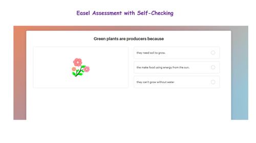 4th Grade Communities Test - Printable, Easel, Easel Assessment | TPT