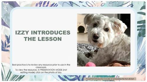 My Secret Bully Emotional Bullying Prevention READY TO USE SEL Lesson w ...