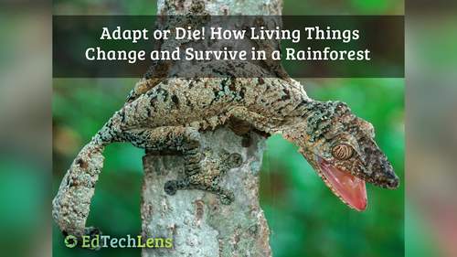 Adapt or Die! Living Things Change Bodies and Behaviors to Survive Unit PDF