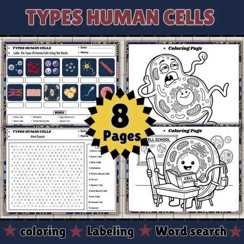 Types of Human Cells Worksheets | | Labeling, Word Search | Human ...