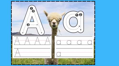 ABC Alphabet Tracing Practice Worksheets Posters With Real World Animal ...