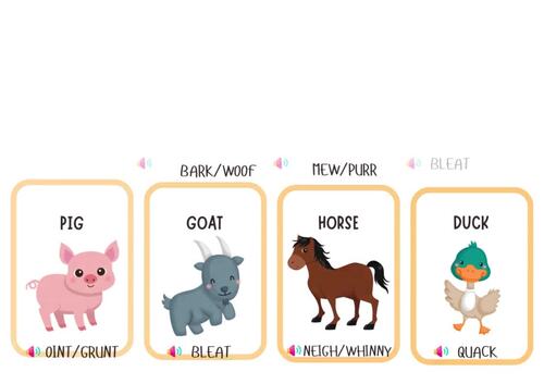 Animal Sounds Flashcards For Kids | 32 Double-sided Cards by The Digivita