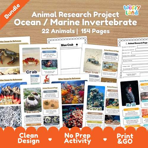 Ocean and Marine Invertebrate Animal Research Project BUNDLE | Marine ...