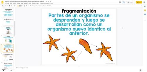 Asexual and Sexual Reproduction Interactive Lesson - SPANISH | TPT