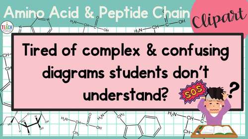 Amino Acid & Peptide Chain Clipart-Make Protein Synthesis Easy! | TPT
