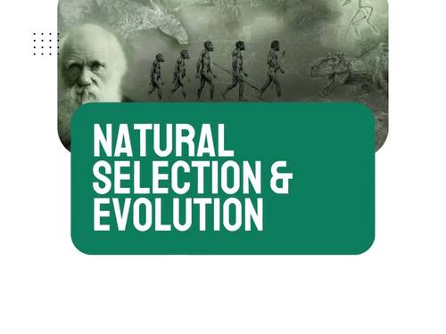 AP Biology Unit 7: Natural Selection and Evolution Complete Unit