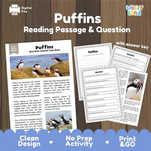 Puffins Reading Comprehension Passage | Ocean Animals Science Activity