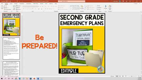 Emergency SUB Plans 2nd GRADE | Editable | TEN DAYS of PLANS | TPT