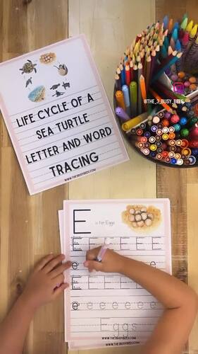 Life Cycle of a Sea Turtle Letter and Writing Worksheets by The 3 Busy Bees