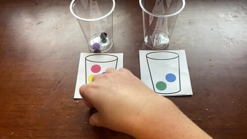 Pom Pom Cup Matching Visual Discrimination, Fine Motor Skills, Color ...