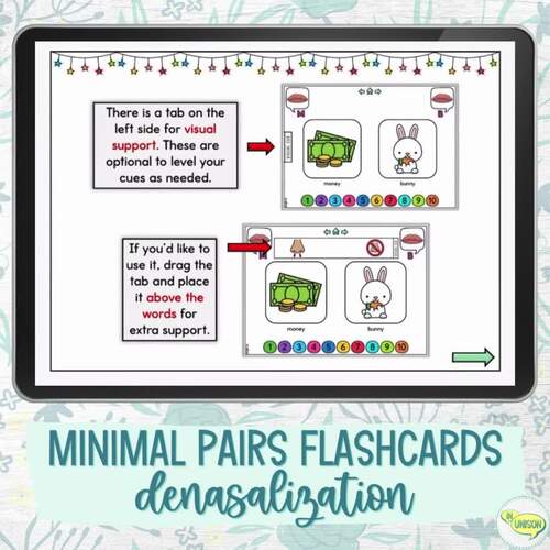 Denasalization Minimal Pairs Flash Cards | Print and Digital | TPT