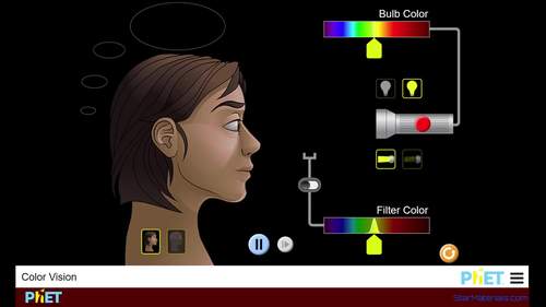 Color Filtering STAR* Virtual Lab Google Docs™ DINB by Star Materials