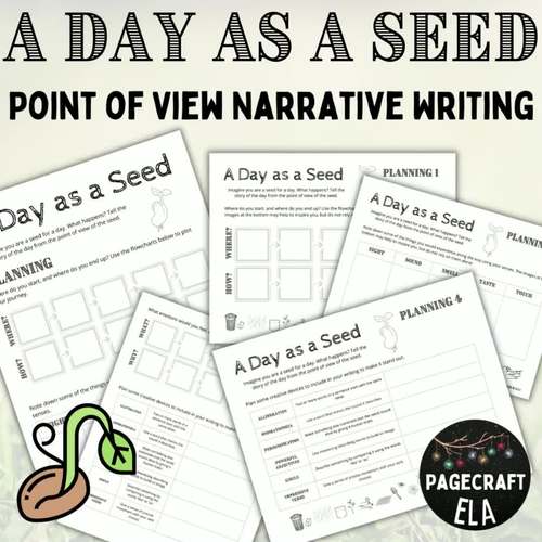 A Day as a Seed | Planning and Narrative Writing | Point of View | Life ...