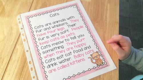 Partner Reading Passages - Reading Buddies 1st & 2nd Grade Fluency Practice