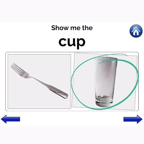 Identifying Common Objects (F:2) BOOM CARDS™ by Bri-SLP | TPT