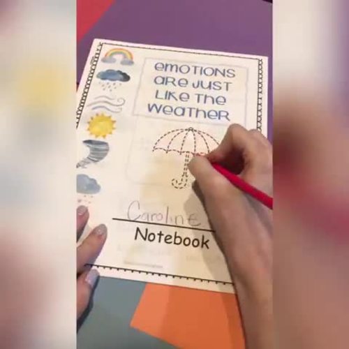 Emotions are like the Weather Journal by Fish Climbing Trees | TPT