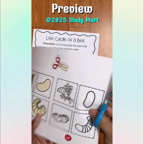 Life Cycle of a Bee Activity | Cut, Paste, and Color Insect Worksheets