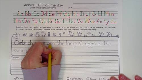 Handwriting Practice Worksheets for Older Students by Kiddie Concepts