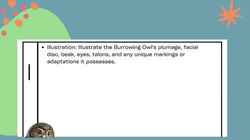 All about Burrowing Owls Mini Research Book by Sunshine in Secondary