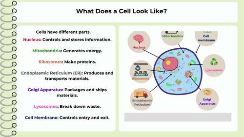 DNA Genetics NGSS Bundle Sickle Cell Lesson PDF+ Editable PPT | Biology ...