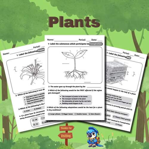Biology Labeling Sheets Bundle by School Templates | TPT