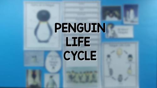 Penguin Life Cycle Craft, Penguin Activities, All About Penguins Animal ...