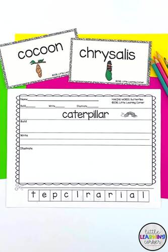 Making words BUTTERFLY Life Cycle Writing and Vocabulary Cards | Cut ...